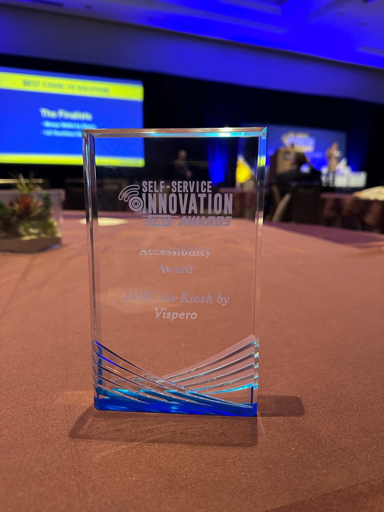 JAWS for Kiosk Wins Accessibility Award - Vispero